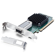 Network Card (NIC) - 10Gtek